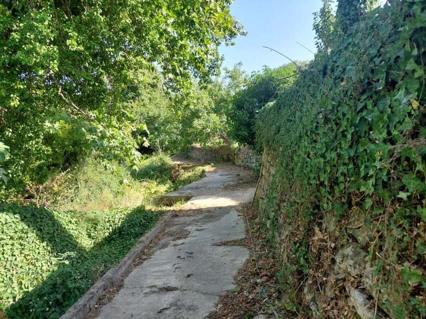 Chania: 5-Wine Tasting with Locals in Village near Kissamos - The Value of the Experience