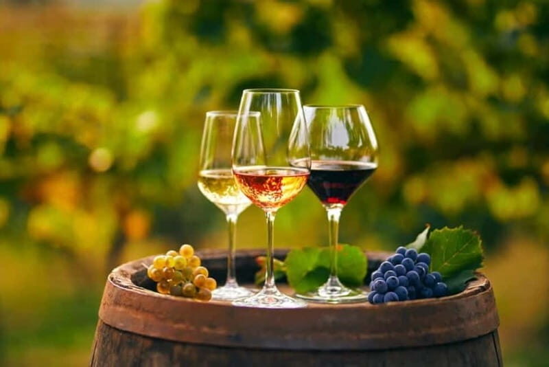Chania Area: Food Tasting Tour with Winery Visit & Swim Stop - Practical Details and What to Expect