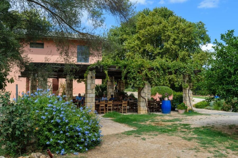 Chania: Mystery Trip with Hidden Gems & Local Flavors - The Itinerary: What You Might Expect