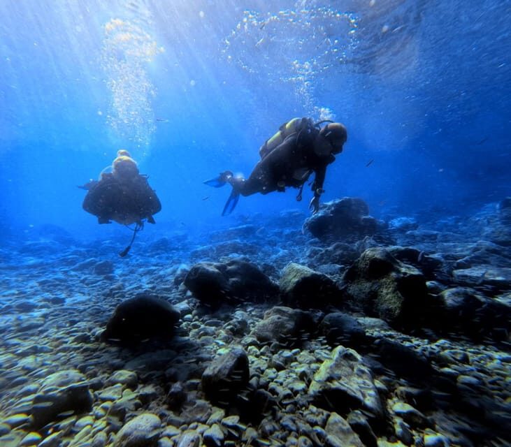 Chania | Try Scuba Diving | Private Introduction Dive - Why the Experience Offers Great Value