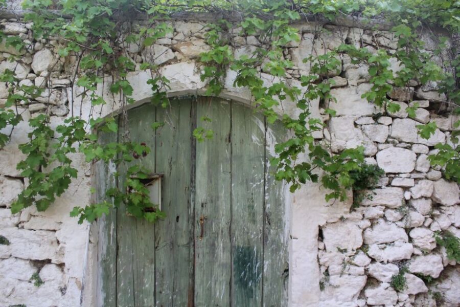 Chania Villages Private Tour: Explore the Authentic Crete! - A Deep Dive into the Experience