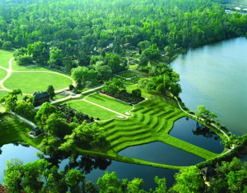 Charleston: Middleton Place Excursion & Low Country Cuisine - Detailed Review: A Deep Dive into the Middleton Place Tour