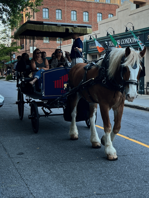 Charleston, SC: Private Evening Horse & Carriage Tour - An Authentic Charleston Experience in a Cozy Setting