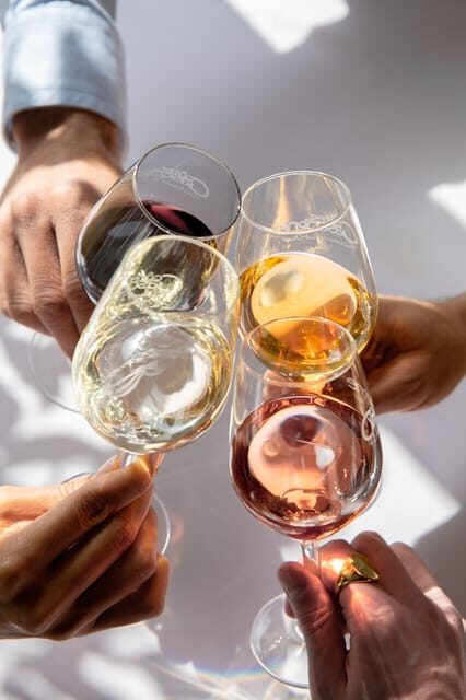 Château Arton Vineyard Tour and Tasting - The Vineyard Tour: From Soil to Glass