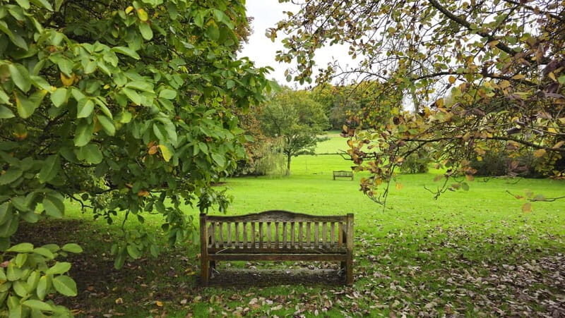 Chawton: village tour to discover its ties to Jane Austen - Why This Tour Is a Great Choice