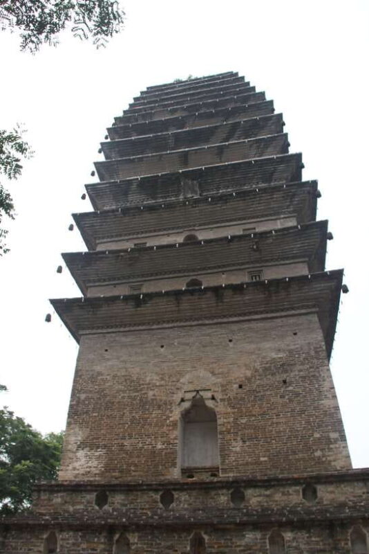 Chengdu: Giant Panda and Leshan Buddha Sall Group Day Tour - Key Points