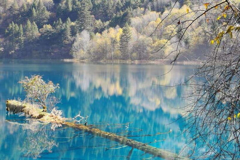 Chengdu: Jiuzhaigou&Huanglong 3-Day Tour by Bullet Train - Key Points