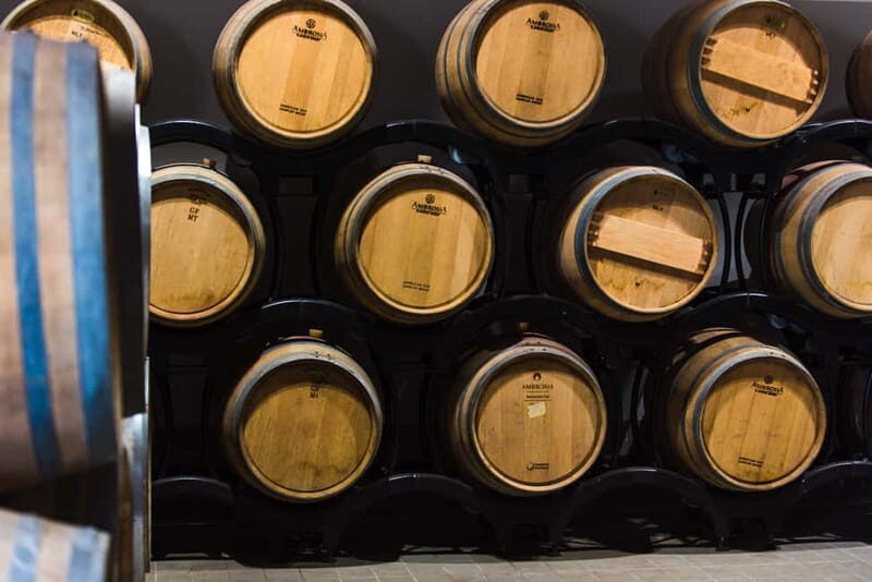 Chianciano Terme: Private Guided Winery Tour & Wine Tasting - Who Should Consider This Tour?