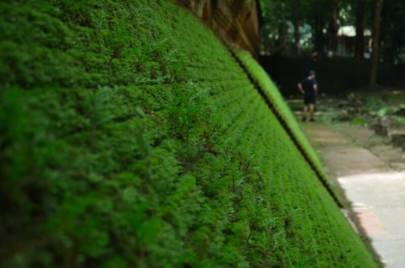 Chiang Mai: 4-hour Doi Suthep, Wat Umong, & Wat Phalat Tour - Key Points