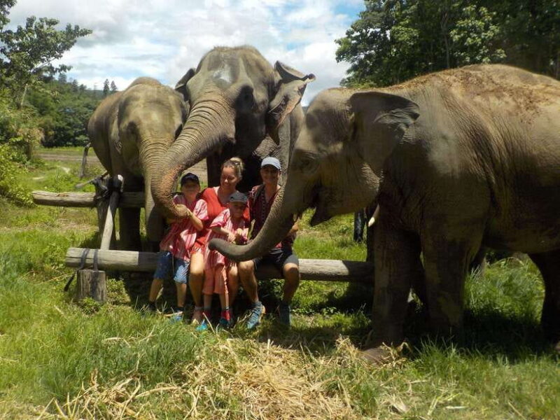 Chiang Mai: Elephant Sanctuary Local Hill Tribe Caretakers - Key Points