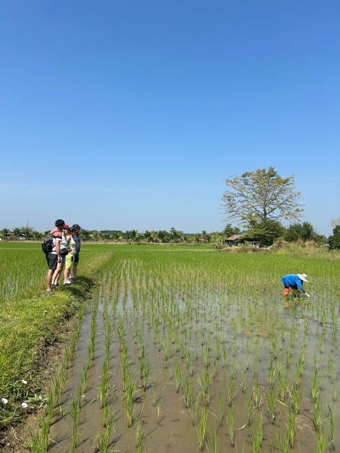 Chiang Mai: Half-Day Private Bicycle Tour with Lunch - Key Points