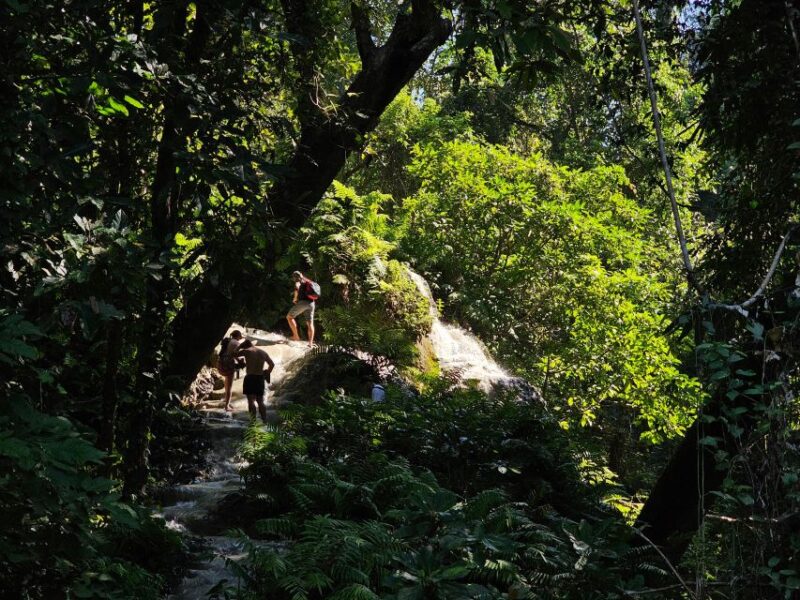 Chiang Mai: Sticky Waterfall Half-Day Tour & Hotel Transfers - Key Points