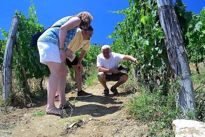 Chianti Classico and Super Tuscan 3 Winery Tour - Discover the Charm of Tuscany on a Small-Group Chianti and Super Tuscan Winery Tour