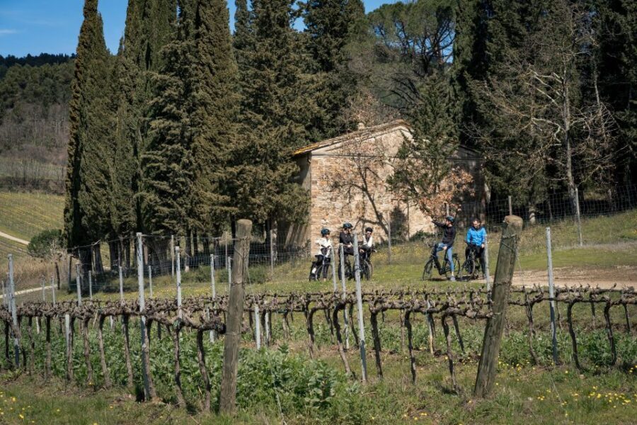 Chianti Classico: e-bike tour with lunch and tastings - An In-Depth Look at the Experience