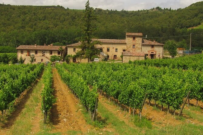 Chianti Day trip from Florence - Introduction
