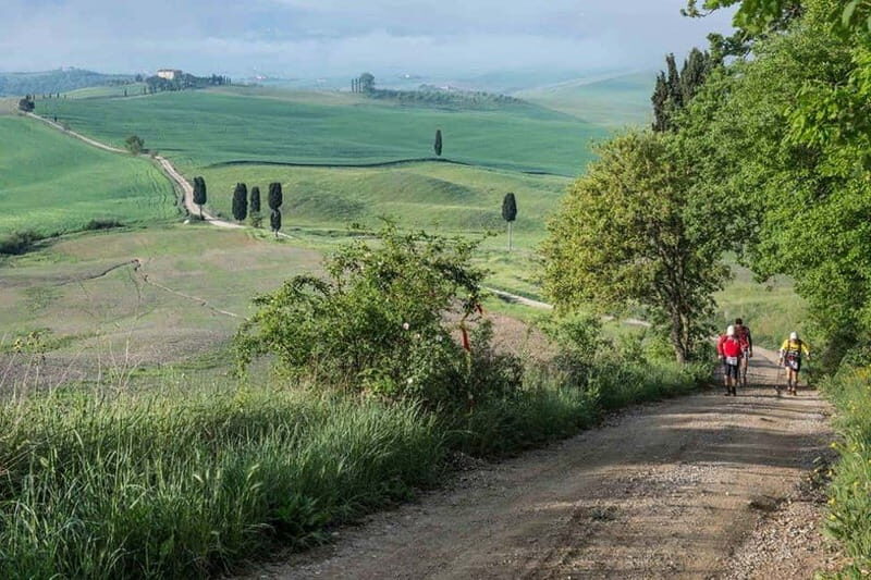 Chianti Half-Day Wine Tour included meal & tasting (5hrs) - A Closer Look at the Experience