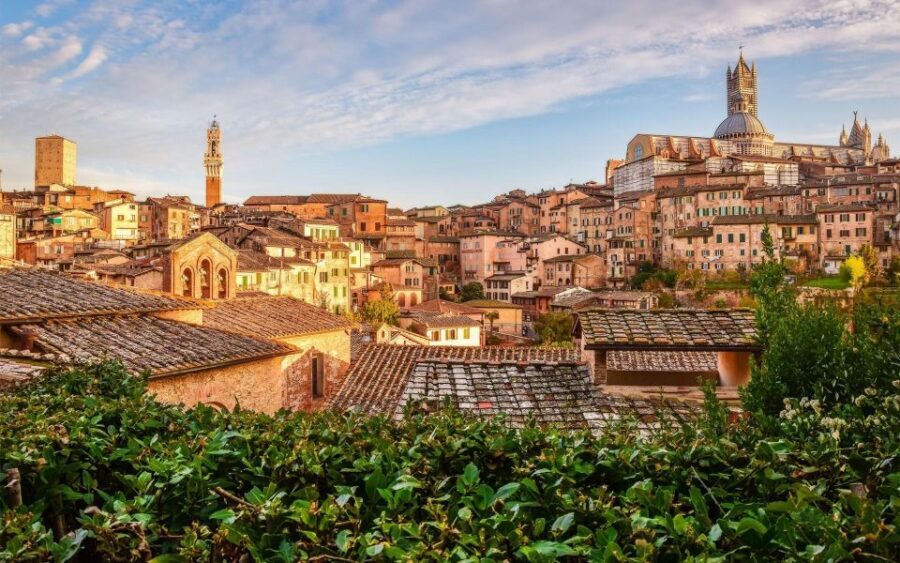 Chianti, Siena, S. Gimignano & Wine Tasting Private Tour - Who Will Love This Tour?
