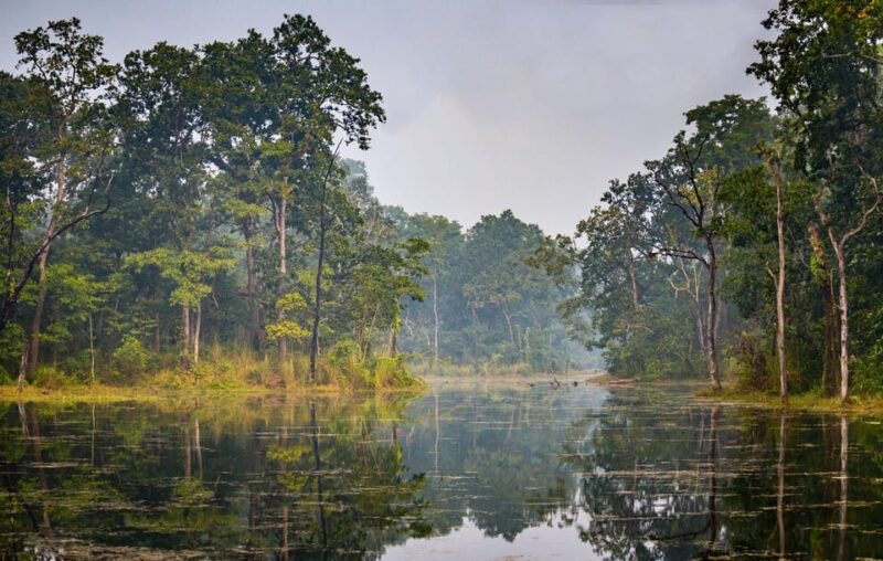 Chitwan Day Tour ( Canoeing+Jungle Walk+ Jeep Safari ) - Exploring Chitwan Day Tour: Canoeing, Jungle Walk, and Jeep Safari