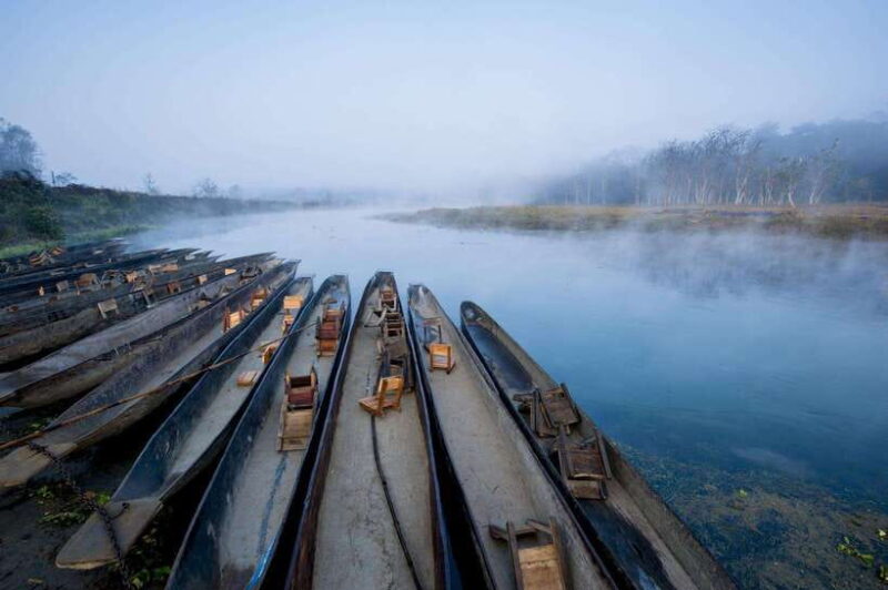 Chitwan: Jungle Safari Tour with Canoe Ride in Forest River - Key Points