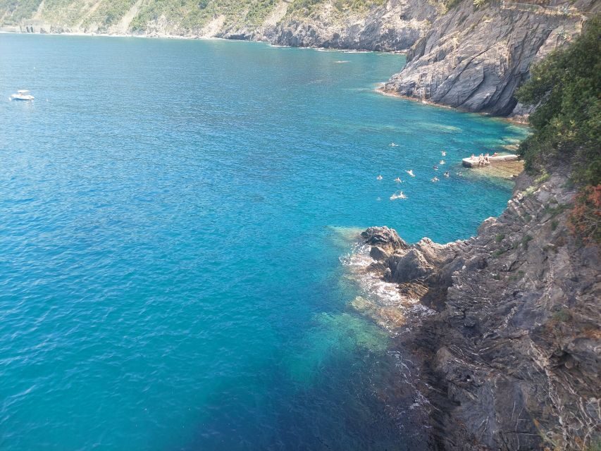 Cinque Terre from Riomaggiore to Manarola and vineyards - Practical Considerations