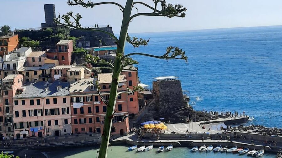 Cinque Terre Semi-Private Day Tour from Montecatini Terme - The Itinerary: A Village-by-Village Breakdown