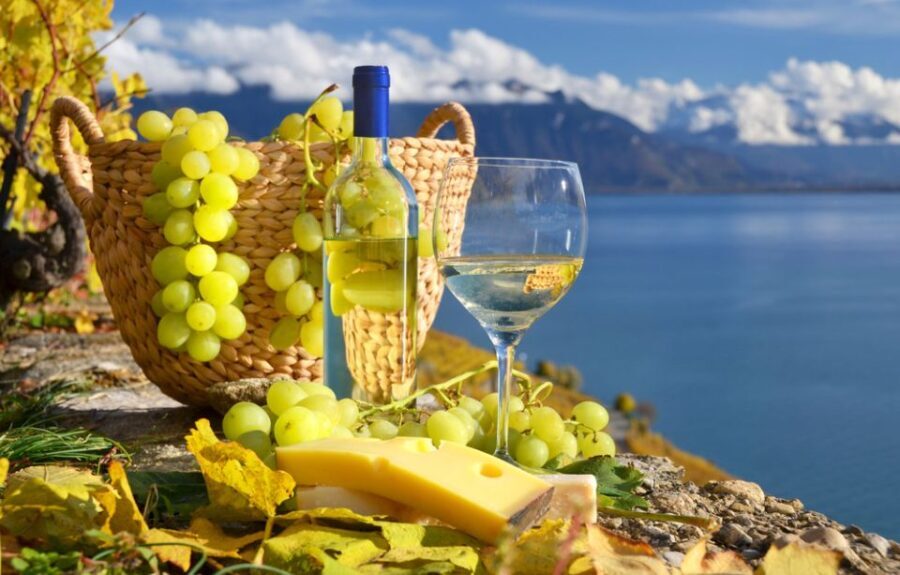 Cinque Terre Small Group by Minivan from Lucca - Starting Out from Lucca: Ease and Comfort