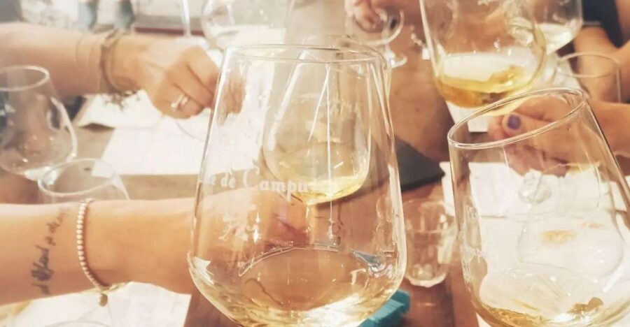 Cinque terre wine tour and tasting with the somelier - A Detailed Look at the Cinque Terre Wine Tour