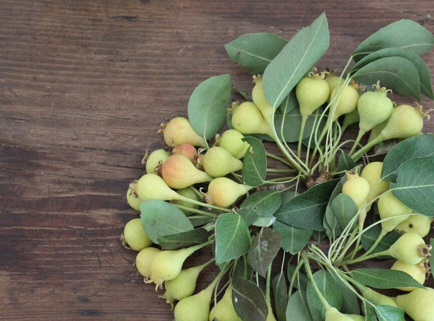 Cisternino: Make a soap with extra virgin olive oil - Who should consider this workshop?