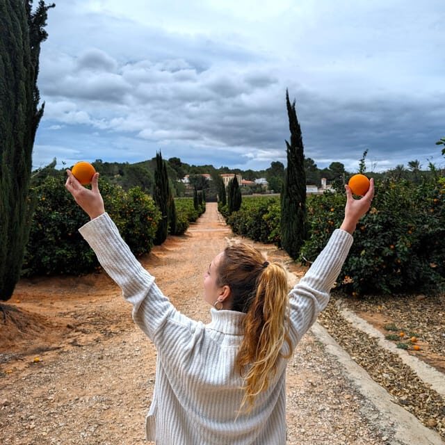 Citrus Treasures: Exploring Valencia's Orange Grove - Who Will Enjoy This Tour?