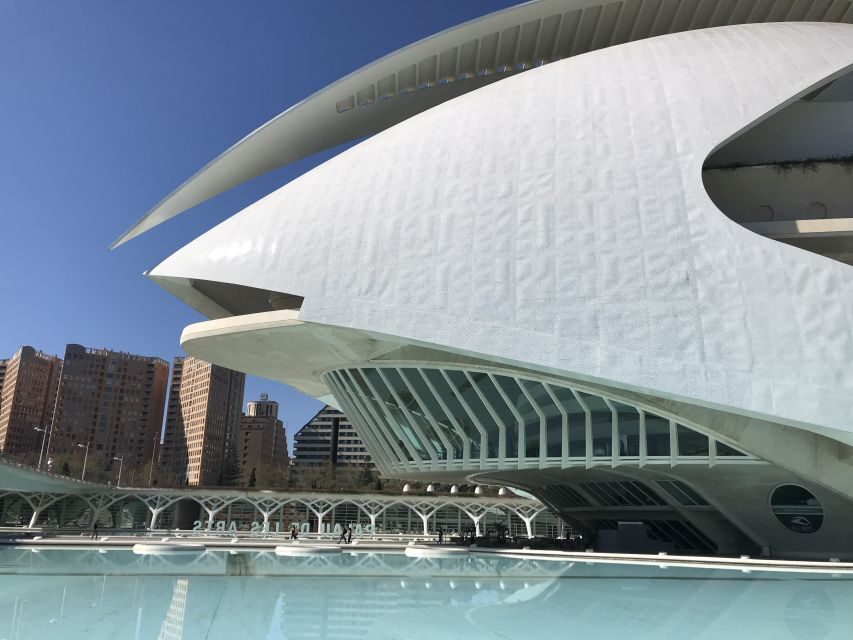 City of Arts & Sciences Tour on Bicycle, E-Bike or E-Step - The Lungs of Valencia: Turia Park