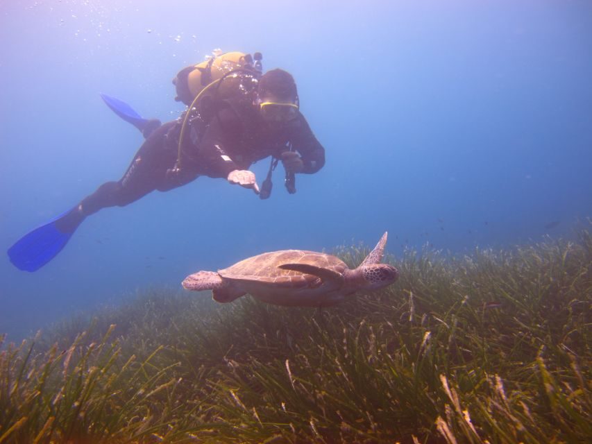 City of Side: Underwater Museum Scuba Diving Visit - What the Experience Means for Travelers