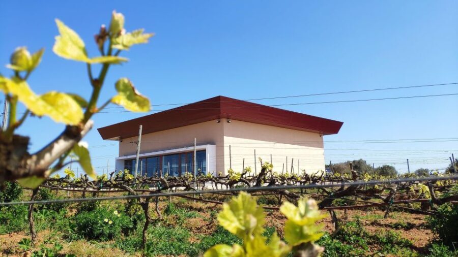 Ciutadella de Menorca: Family Winery Tour with Wine Tasting - What Makes the Visit Special?