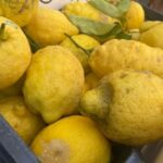 Civitavecchia: Market Tour and Cooking Class with Lunch - What You’ll Cook and Eat