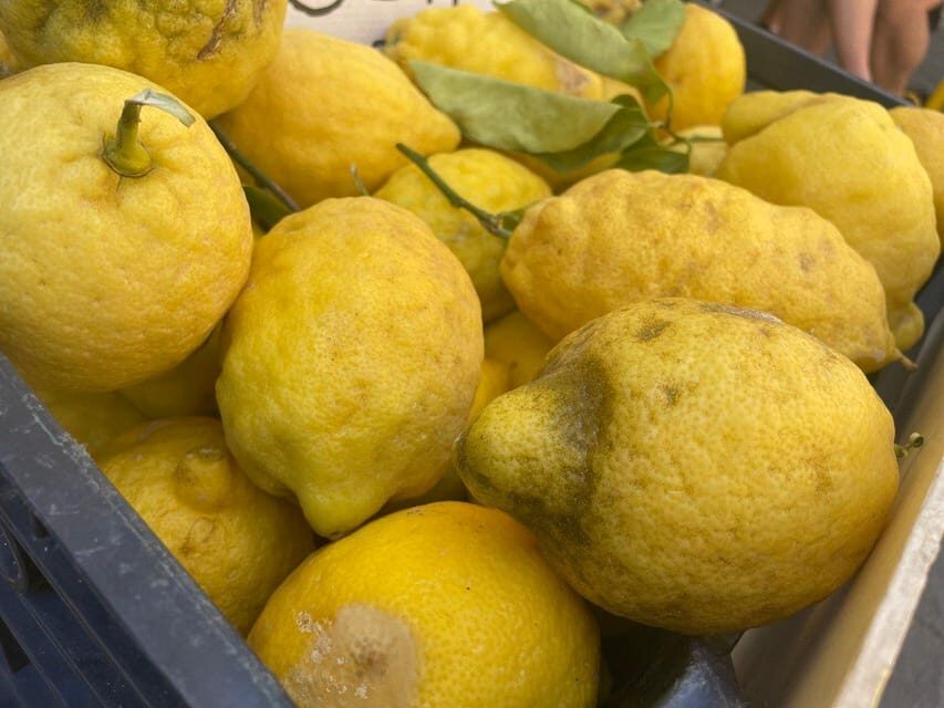 Civitavecchia: Market Tour and Cooking Class with Lunch - What You’ll Cook and Eat