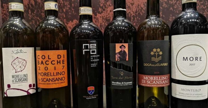 Civitavecchia: Scansano Day Trip with Wine Tasting - Introduction