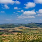 Civitavecchia: Tuscany Full-Day Guided Trip w/Wine Tasting - Who Will Love This Tour?