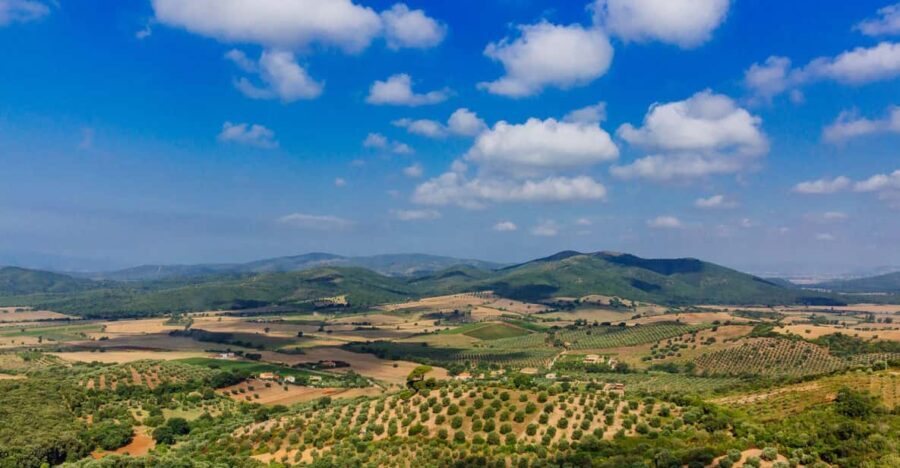 Civitavecchia: Tuscany Full-Day Guided Trip w/Wine Tasting - Who Will Love This Tour?