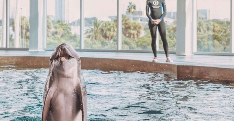 Clearwater: Eco-Certified Marine Aquarium General Admission - Key Points