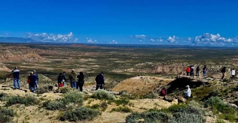 Cody: Red Canyon Wild Mustang Van or Bus Tour - Key Points
