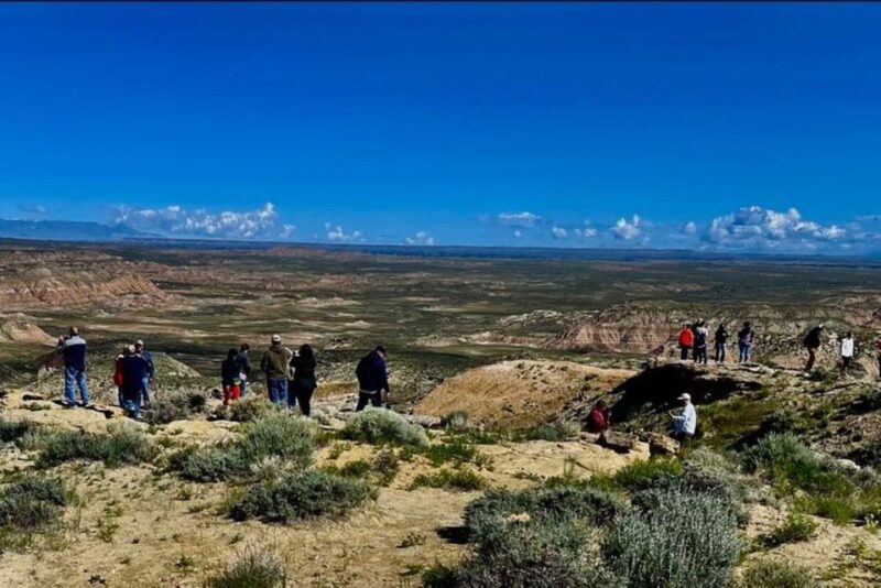 Cody: Wild Mustang Small Group Eco Tour - Key Points