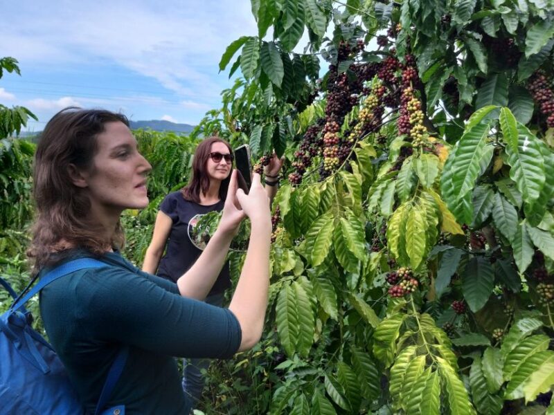 Coffee - Wine - Tea Da Lat's Agricultural Treasures Tour - Key Points