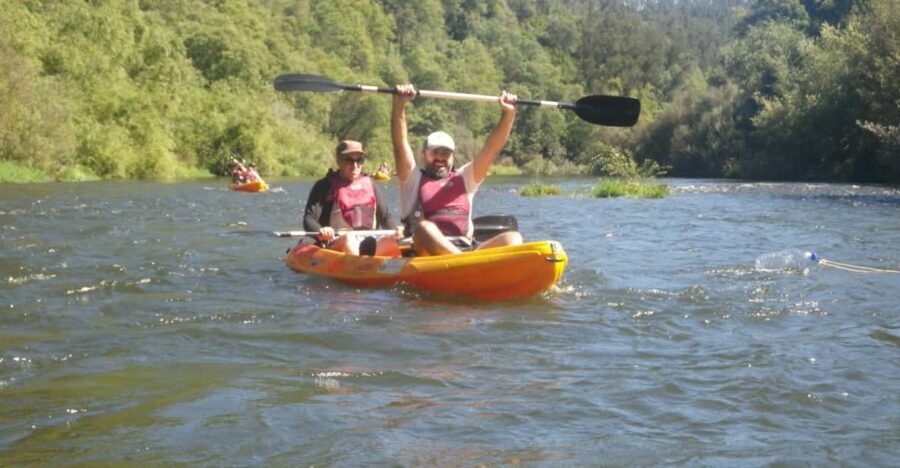 Coimbra: Kayak Descent on the Mondego River - What to Expect on the Water
