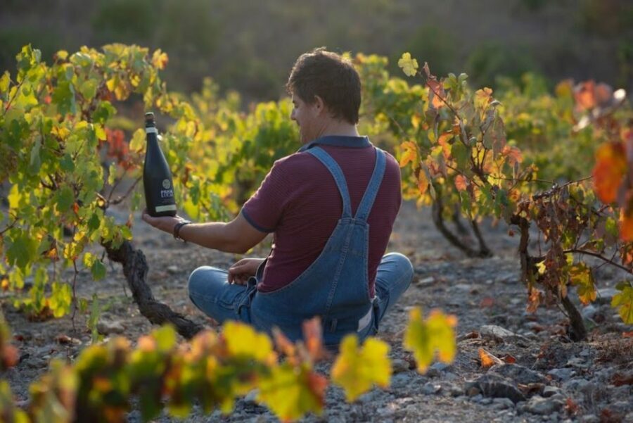 Coimbra: Prior Lucas Wine Experience - An Overview of the Prior Lucas Wine Experience