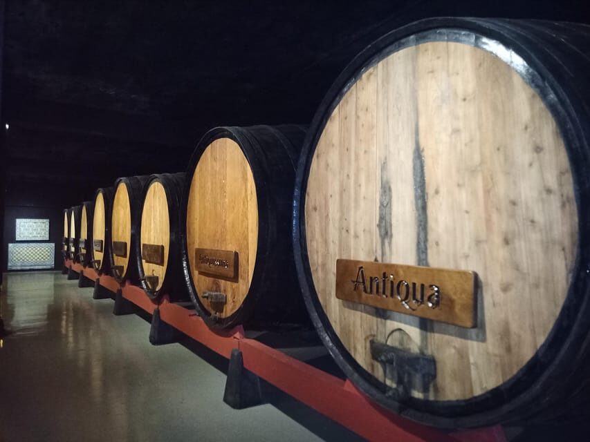 Coimbra: Rota da Bairrada gastronomic tour - Analyzing the Value