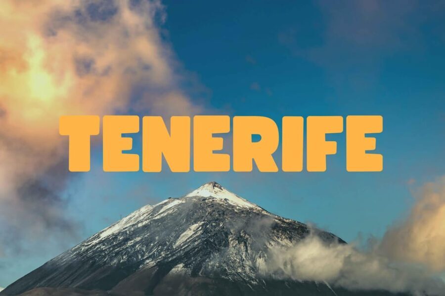 Collective Adventure: Travel & Volunteer in Tenerife - What You Can Expect from the Program