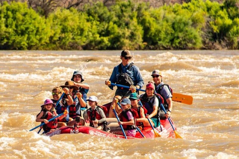 Colorado River : Morning Half-Day Colorado River Rafting - Key Points