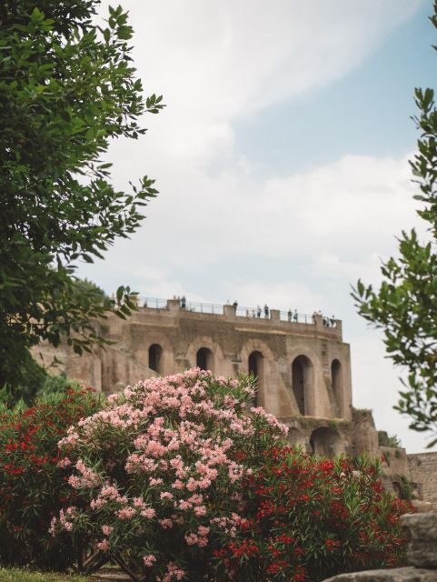 Colosseum Arena Tour, Palatine Hill and Roman Forum - What Makes This Tour Stand Out?