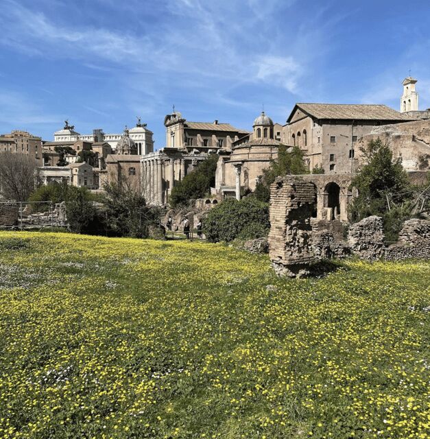 Colosseum, Roman Forum, Palatine Hill - the PRIVATE TOUR - Why Choose This Tour?