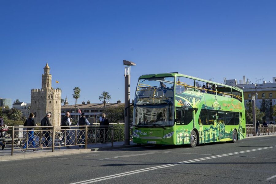Combo: Hop on hop off + Flamenco Show & Walking tours - Practical Details and Tips
