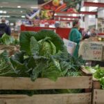 Como Food Tour and the Farmers Market - A Close Look at the Como Food Tour Experience